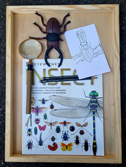 Drawn to Seeing - Workshops & Sketch Clubs